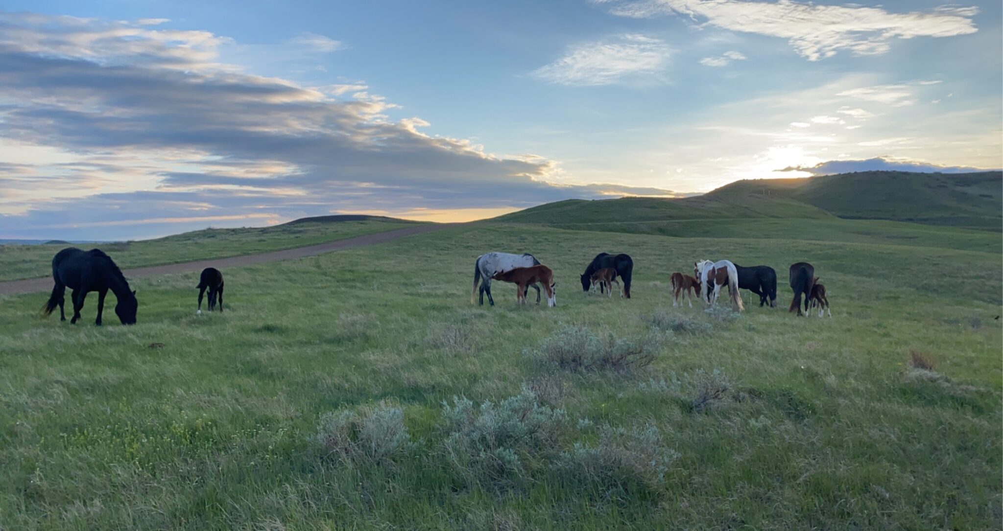 Contact Us - State Bank Eagle Butte
