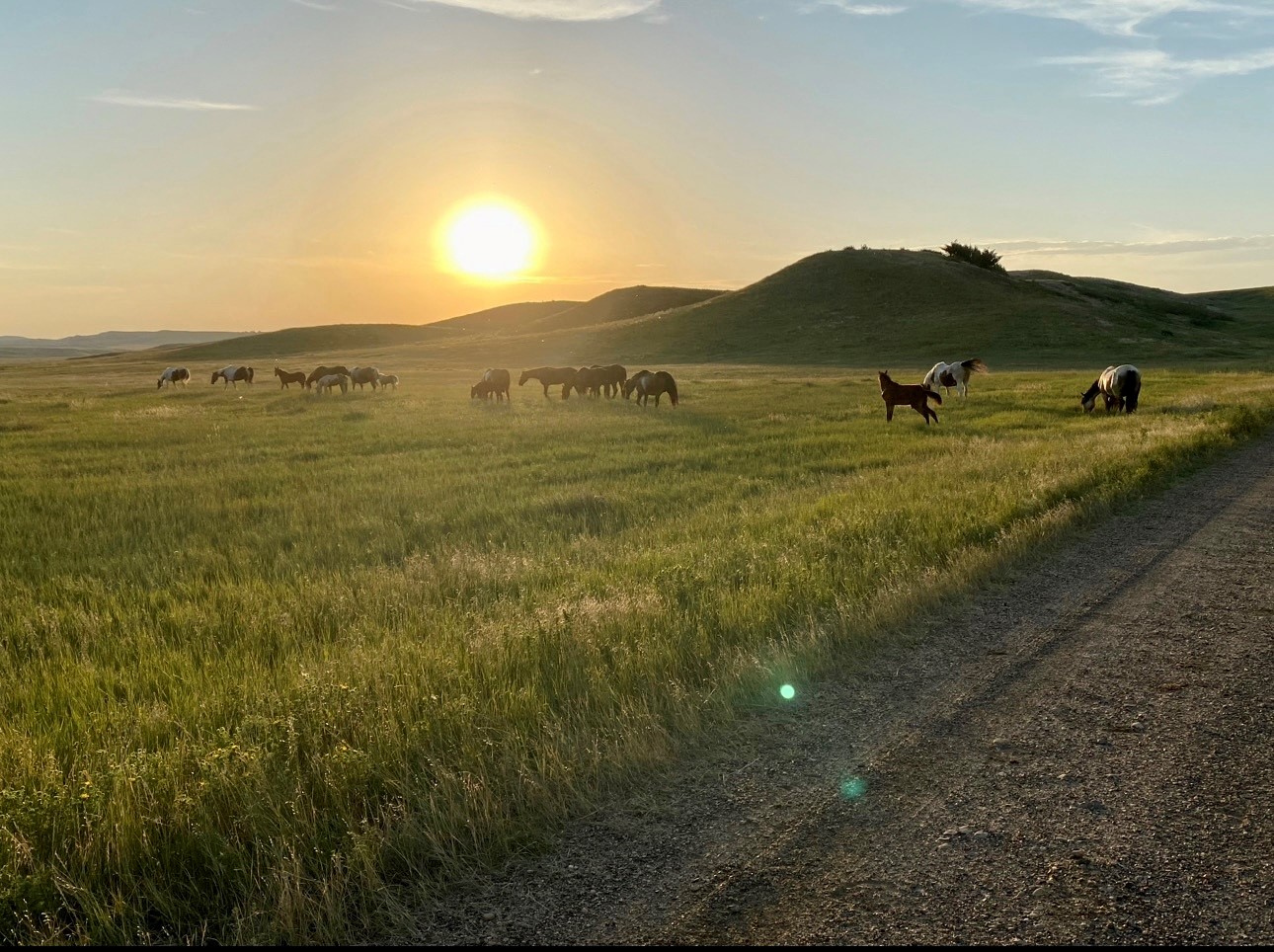 Insurance - State Bank Eagle Butte